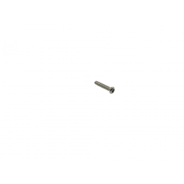 Screw for back casing